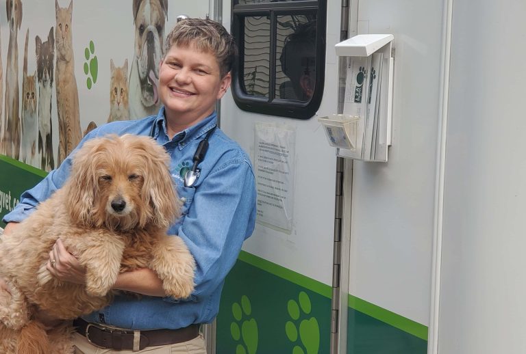Meet our Veterinarian | The Visiting Vet